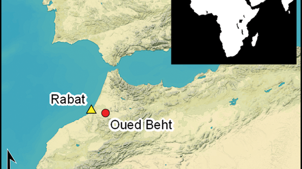 علم الآثار : "وادي بِهت" في المغرب كان أقدم وأكبر مجتمع زراعي يُكتشف في ...