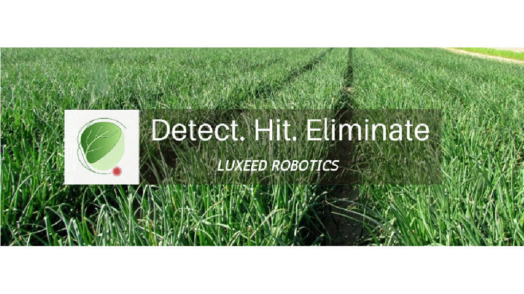 جوادولينا الشاعر في طريقها لتطوير روبوت بيئي - كافيه شو - مونت كارلو ...